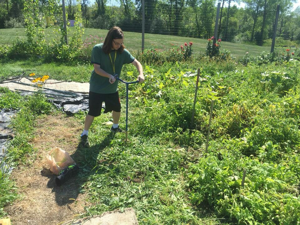 House of General Science